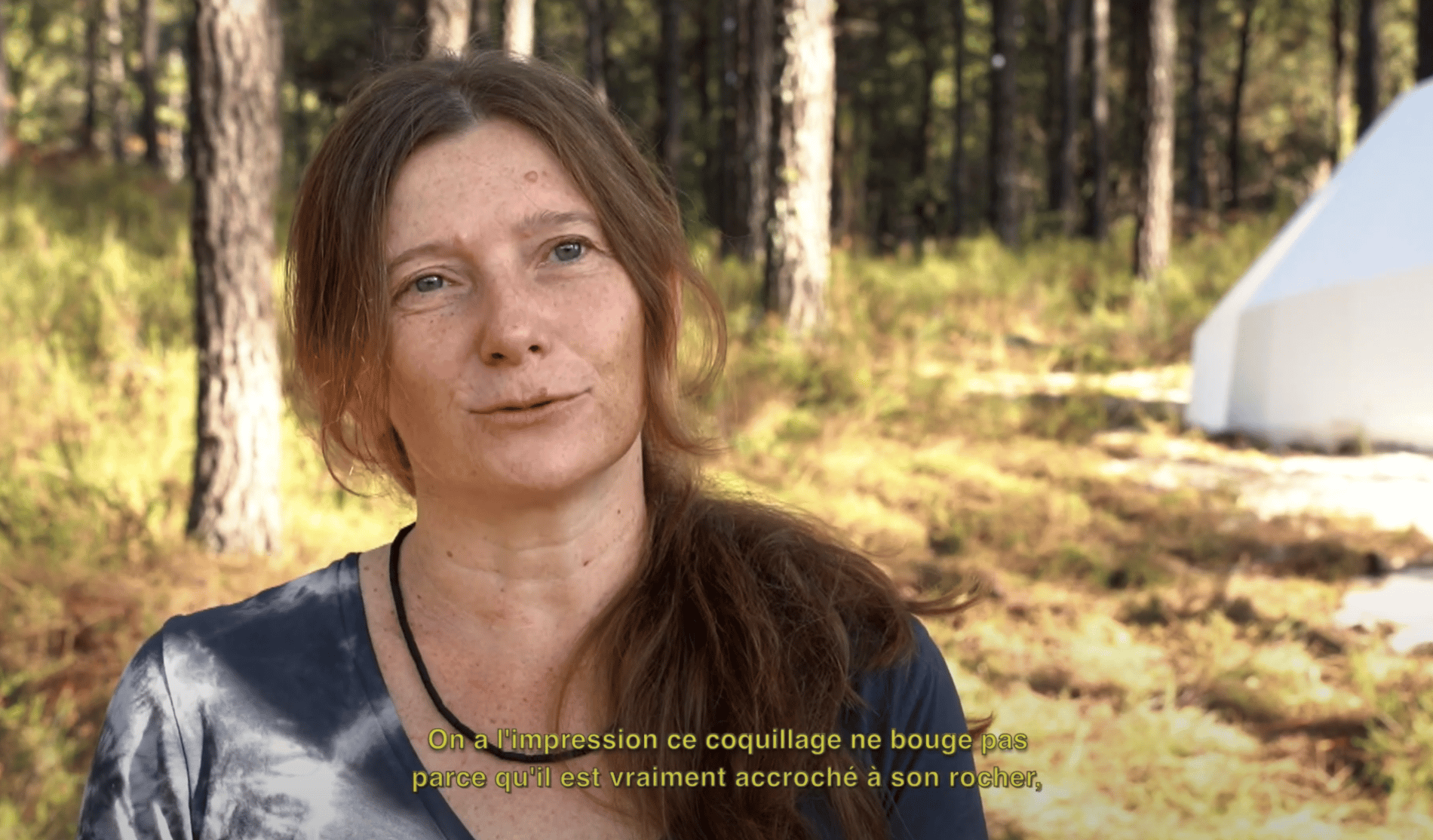 Une nouvelle oeuvre dans la Forêt d'Art contemporain ! - Champs Libres